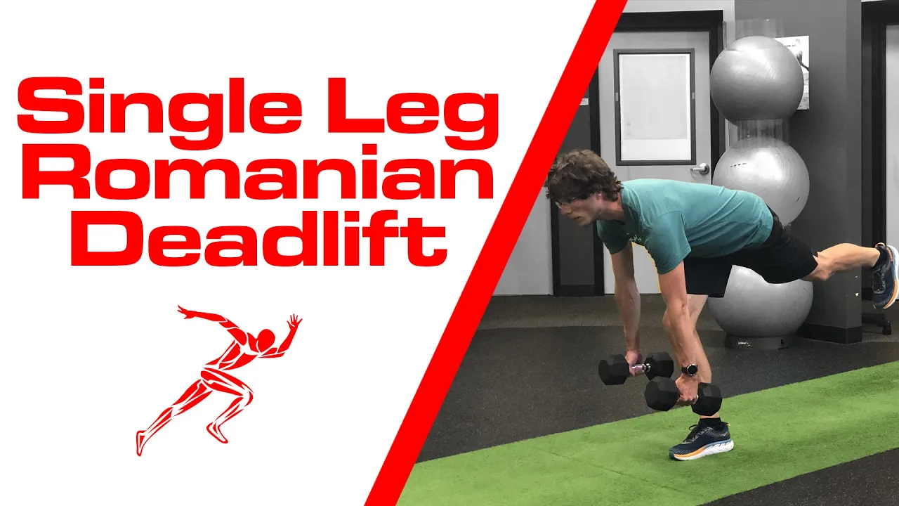 Elite Performance Institute | Chiropractor Naperville IL Warrenville IL ...