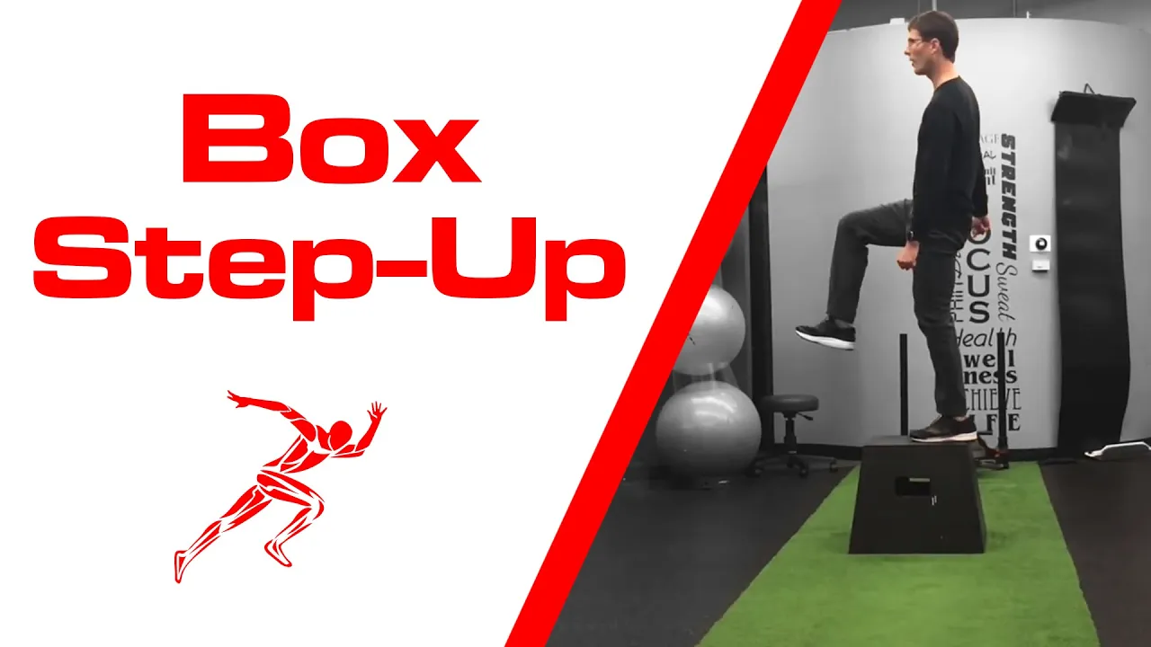 Elite Performance Institute | Chiropractor Naperville IL Warrenville IL ...